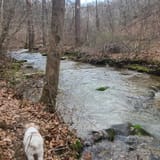 Cave River Valley Trail, Indiana - 189 Reviews, Map | AllTrails