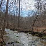 Cave River Valley Trail, Indiana - 189 Reviews, Map | AllTrails