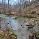 Cave River Valley Trail, Indiana - 189 Reviews, Map | AllTrails
