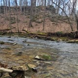 Cave River Valley Trail, Indiana - 189 Reviews, Map | AllTrails