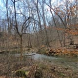 Cave River Valley Trail, Indiana - 189 Reviews, Map | AllTrails