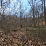 Cave River Valley Trail, Indiana - 189 Reviews, Map | AllTrails