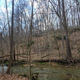 Cave River Valley Trail, Indiana - 189 Reviews, Map | AllTrails
