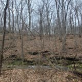 Cave River Valley Trail, Indiana - 189 Reviews, Map | AllTrails