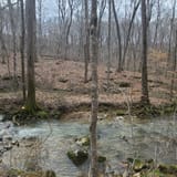 Cave River Valley Trail, Indiana - 189 Reviews, Map | AllTrails