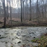 Cave River Valley Trail, Indiana - 189 Reviews, Map | AllTrails