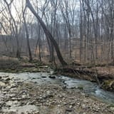 Cave River Valley Trail, Indiana - 189 Reviews, Map | AllTrails