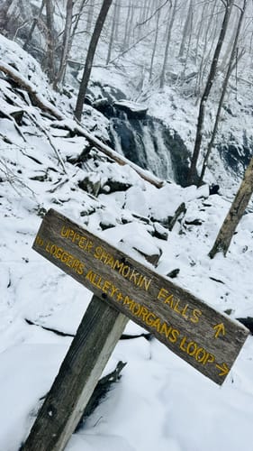 Best Hikes and Trails in Shamokin Springs Nature Preserve | AllTrails