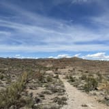 White Cliffs Wagon Trail, Arizona - 301 Reviews, Map | AllTrails