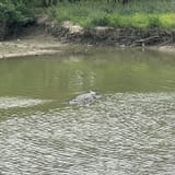 George Bush Hike and Bike Trail, Texas - 1,248 Reviews, Map | AllTrails