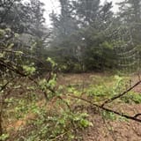 Ragged Point Trail, California - 102 Reviews, Map | AllTrails