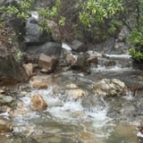 Ragged Point Trail, California - 102 Reviews, Map | AllTrails