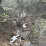 Ragged Point Trail, California - 102 Reviews, Map | AllTrails