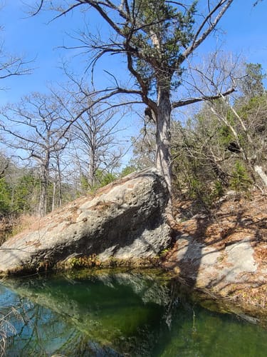 Best Hikes and Trails in Hamilton Pool Preserve | AllTrails