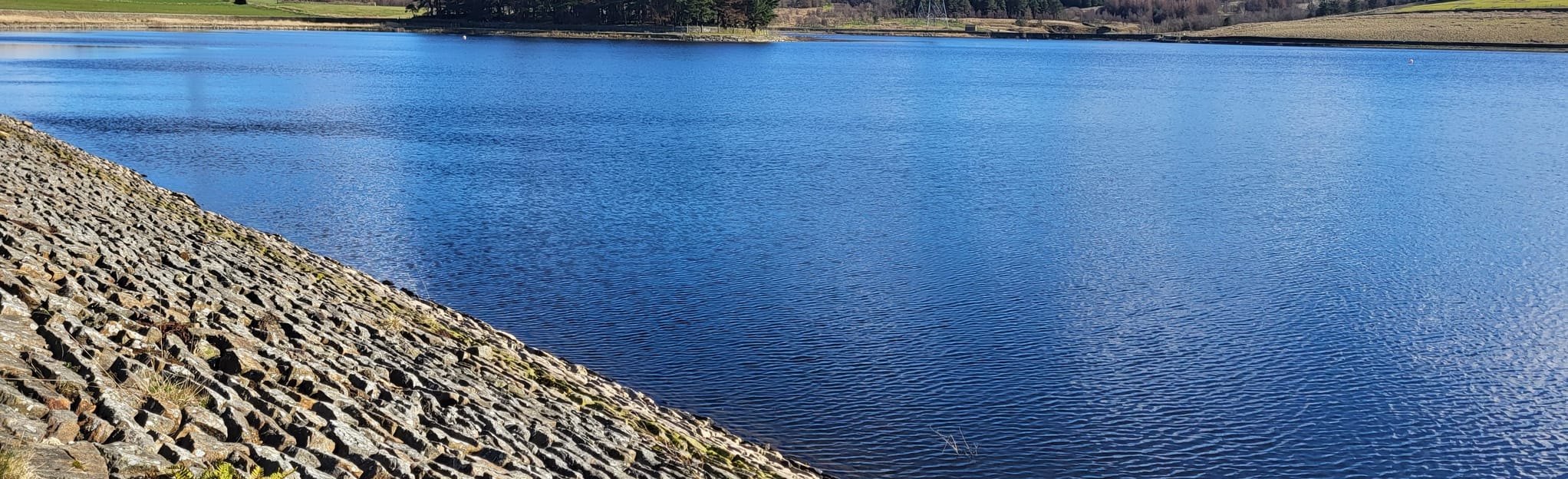 Clowbridge Reservoir Circular: 95 Fotos - Lancashire, England | AllTrails