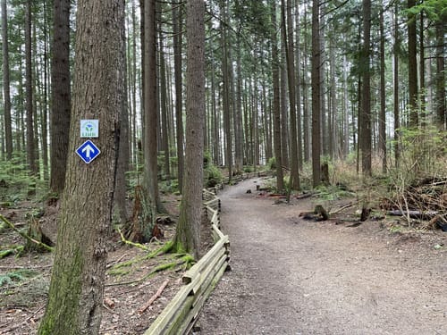 Best Hikes and Trails in Princess Park | AllTrails