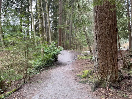 Best Hikes and Trails in Princess Park | AllTrails