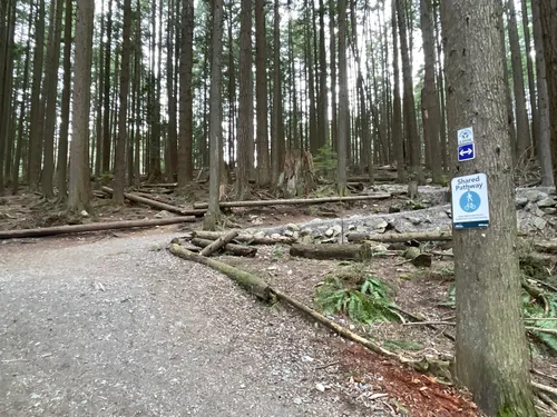 Best Hikes and Trails in Princess Park | AllTrails