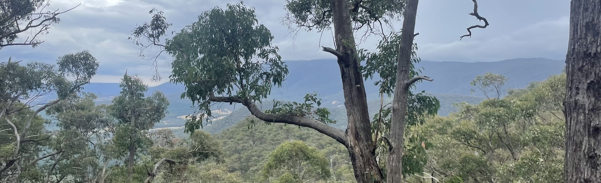 Little Cathedral Track, Victoria, Australia - 2 Reviews, Map | AllTrails