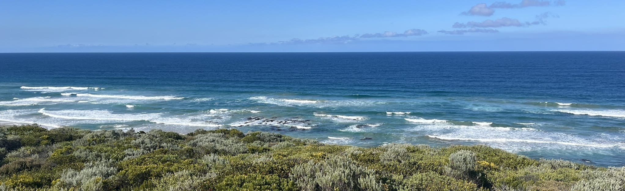 Farnsworth Track: 9 Reviews, Map - Victoria, Australia | AllTrails