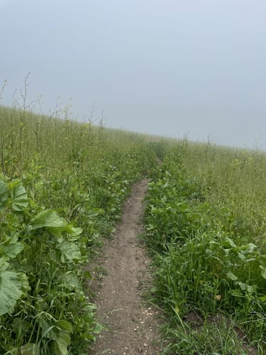 Best Hikes and Trails in San Ramon Reserve | AllTrails