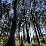 Kyeema, Channel 10 and Camella Circuit, Victoria, Australia - 232 ...