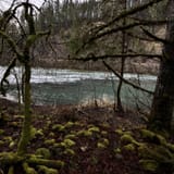 North Umpqua Trail: Mott Segment, Oregon - 40 Reviews, Map | AllTrails