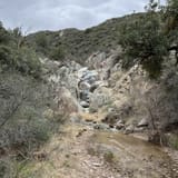 Rogers Canyon Trail via Reavis Ranch Trail, Arizona - 309 Reviews, Map ...