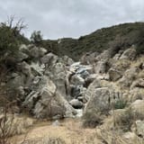 Rogers Canyon Trail via Reavis Ranch Trail, Arizona - 324 Reviews, Map ...