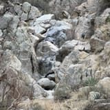 Rogers Canyon Trail via Reavis Ranch Trail, Arizona - 324 Reviews, Map ...