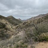 Rogers Canyon Trail via Reavis Ranch Trail, Arizona - 324 Reviews, Map ...
