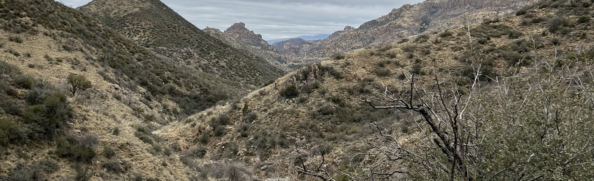 Rogers Canyon Trail via Reavis Ranch Trail, Arizona - 295 Reviews, Map ...
