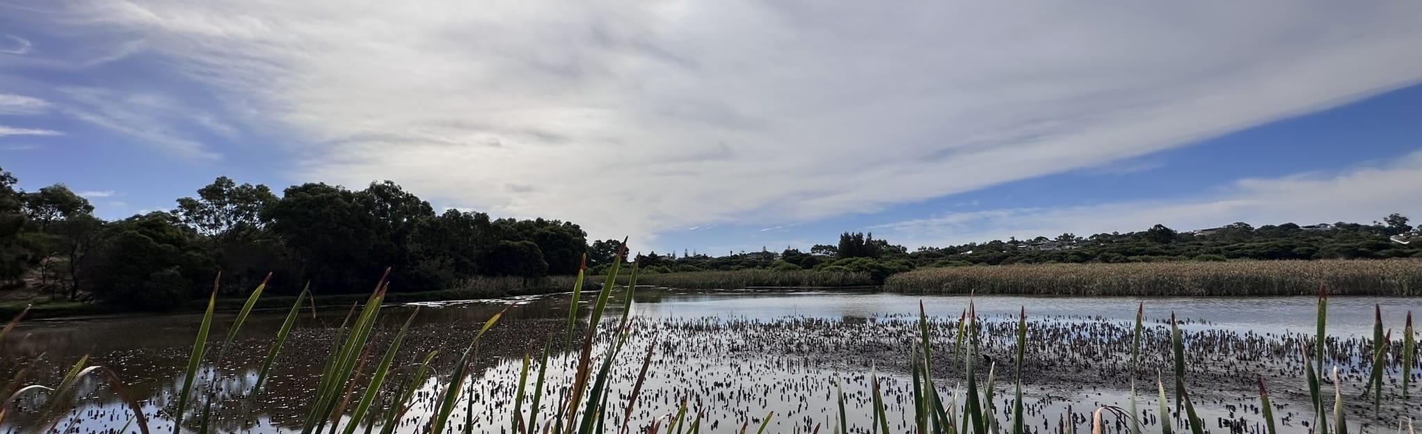 Big Swamp Reserve Loop, Western Australia, Australia - 20 Reviews, Map ...