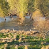 Salt River Shore and Rio Salado Pathway, Arizona - 303 Reviews, Map ...