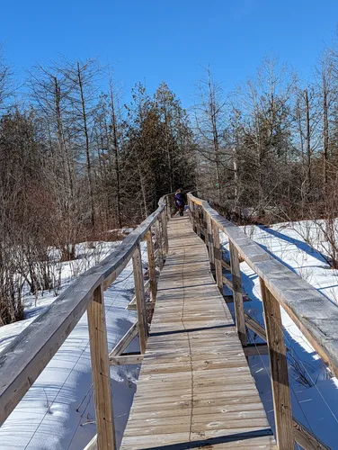 Best Hikes and Trails in Duncan Bay Nature Preserve | AllTrails