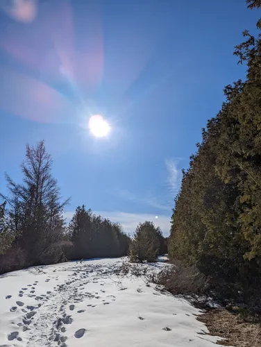 Best Hikes and Trails in Duncan Bay Nature Preserve | AllTrails