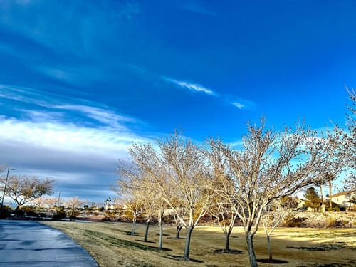Best Hikes and Trails in Puccini Park | AllTrails
