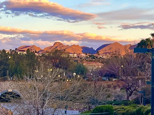 Best Hikes and Trails in Puccini Park | AllTrails