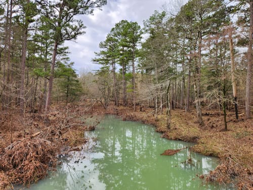 Best Hikes and Trails in Hodgen | AllTrails