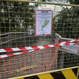 Southern Ridges and Labrador Park Loop, Central, Singapore - 448 ...