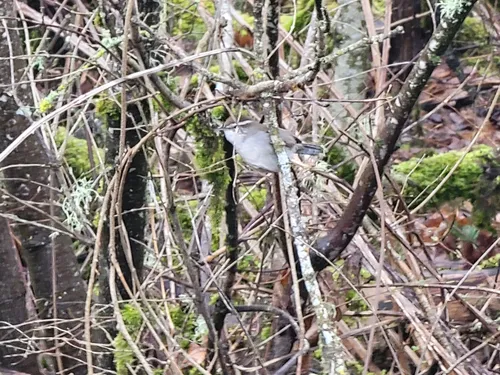 Best Hikes and Trails in Joe Dancer Park | AllTrails