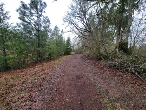 Best Hikes and Trails in Joe Dancer Park | AllTrails