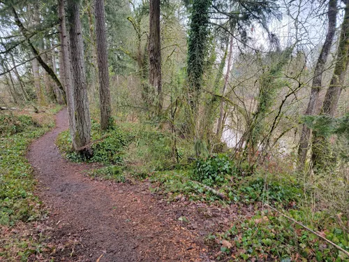 Best Hikes and Trails in Joe Dancer Park | AllTrails