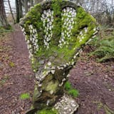 Galen McBee Airport Park Loop, Oregon - 230 Reviews, Map | AllTrails