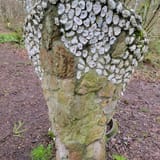 Galen McBee Airport Park Loop, Oregon - 230 Reviews, Map | AllTrails