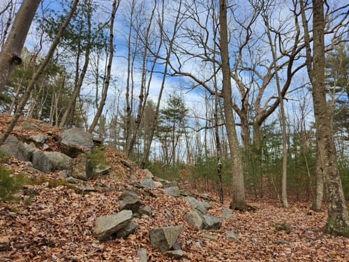 Best Hikes and Trails in Snake Den State Park | AllTrails
