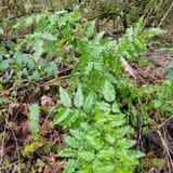 Galen McBee Airport Park Loop, Oregon - 230 Reviews, Map | AllTrails