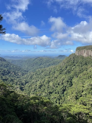 Best 10 Hikes and Trails in Springbrook National Park | AllTrails
