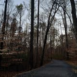 Webb Bridge Park Trail, Georgia - 768 Reviews, Map | AllTrails
