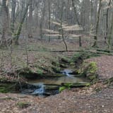 Webb Bridge Park Trail, Georgia - 768 Reviews, Map | AllTrails